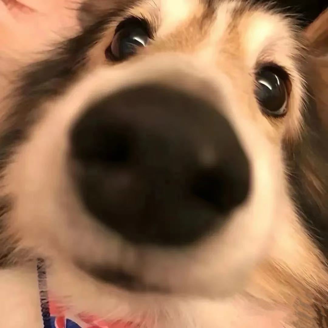 Homepage - Yiheng Fan